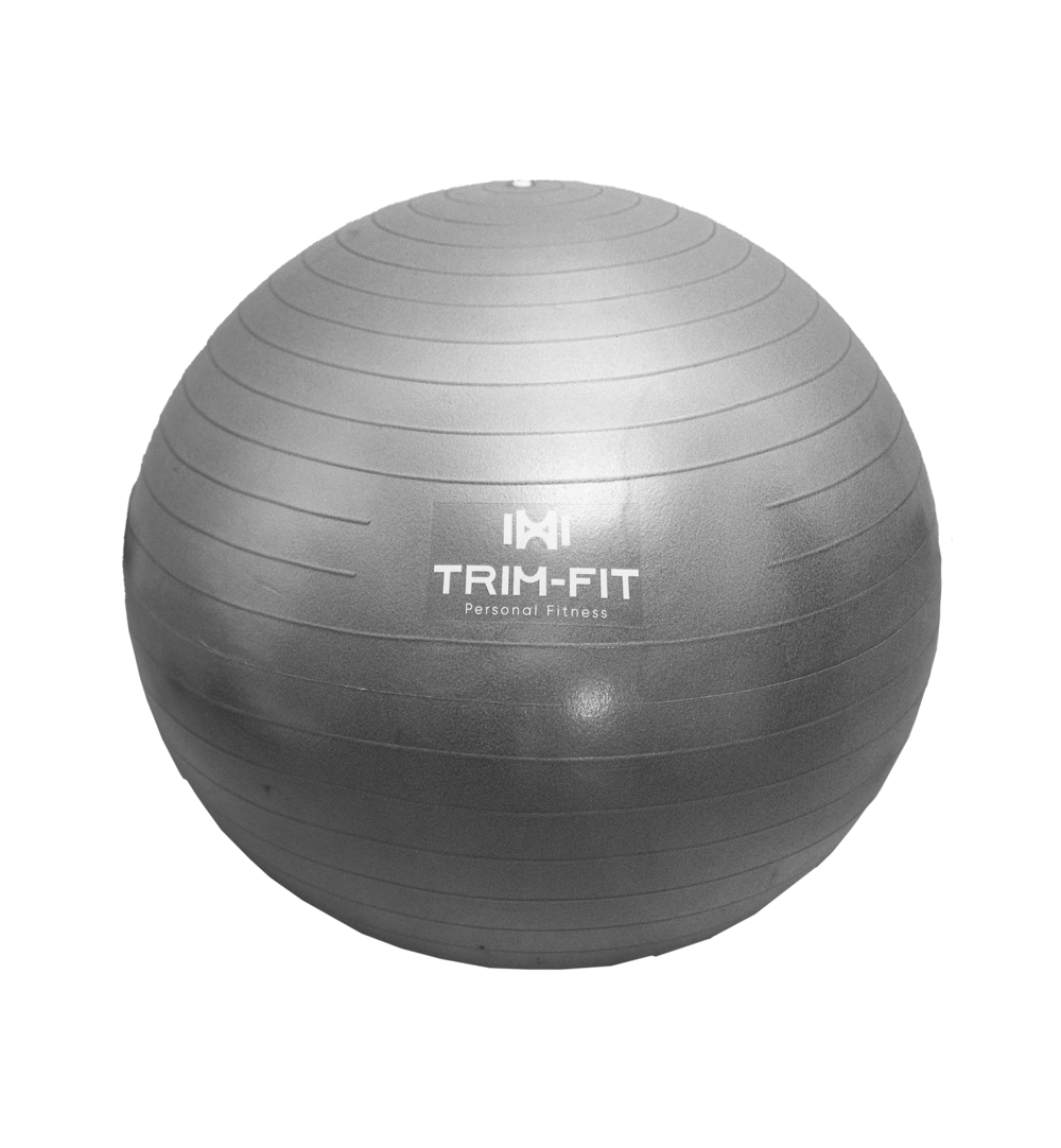 Gymball - Trim-Fit Personal Fitness